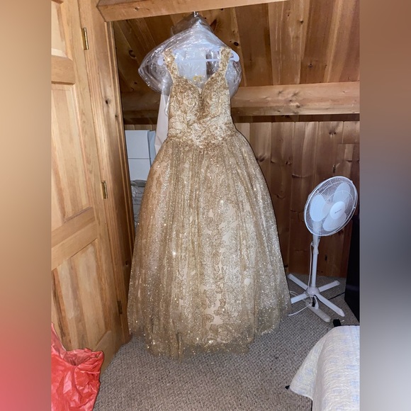 EROS at SSP | Dresses | Golden Ball Gown Worn Only Once Comes With Hoop ...